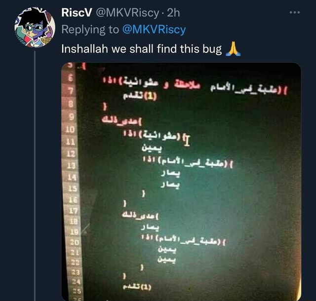 4 Replying To MKVRiscy Inshallah We Shall Find This Bug J RiscV 4 4-replying-to-mkvriscy-inshallah-we-shall-find-this-bug-j-riscv-4