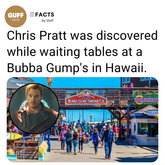 FACTS facts by Gutt Chris Pratt was discovered while waiting tables at ...