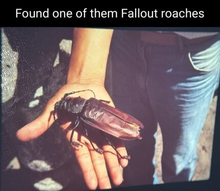Found one of them Fallout roaches - iFunny