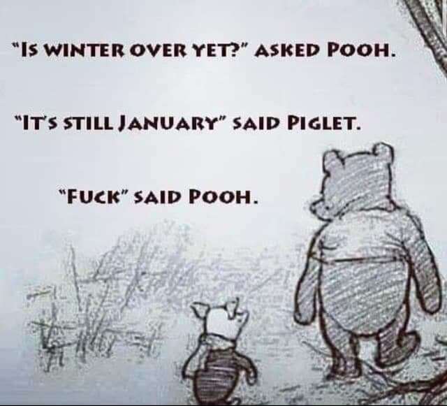 “IS WINTER OVER YET?" ASKED POOH. “IT'S STILLIANUARY" SAID PIGLET. - iFunny