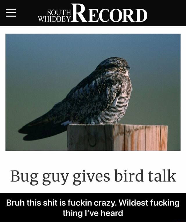 Bug guy gives bird talk Bruh this shit is fuckin crazy. Wildest fucking ...
