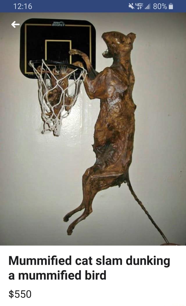 Mummifled cat slam dunking a mummiﬁed bird $550 - iFunny