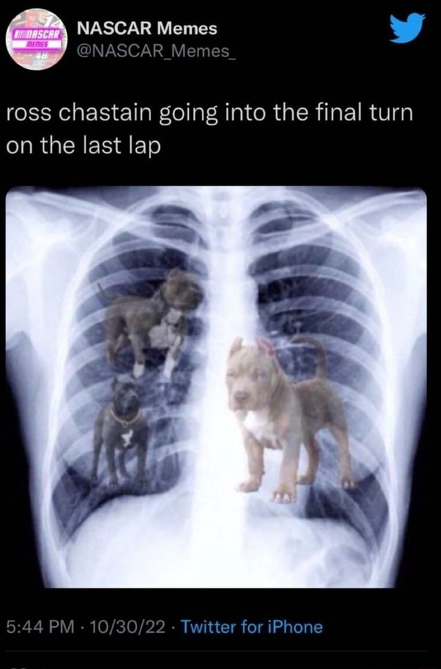 NASCAR Memes / @NASCAR_Memes_ ross chastain going into the final turn ...