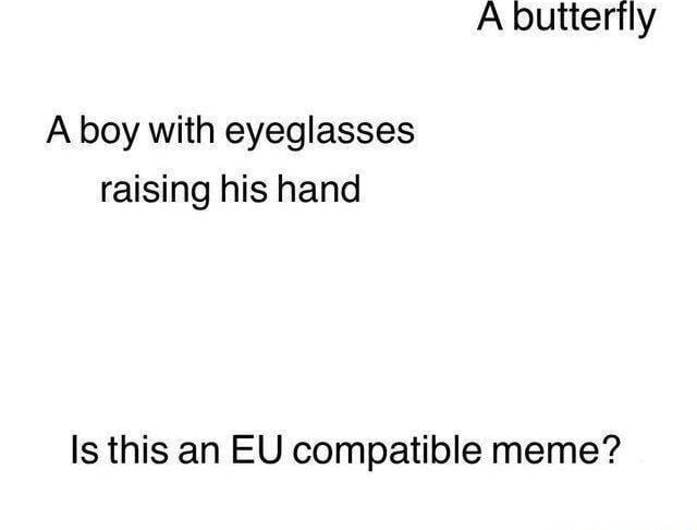 Buttertly A boy with eyeglasses raising his hand Is this an EU ...