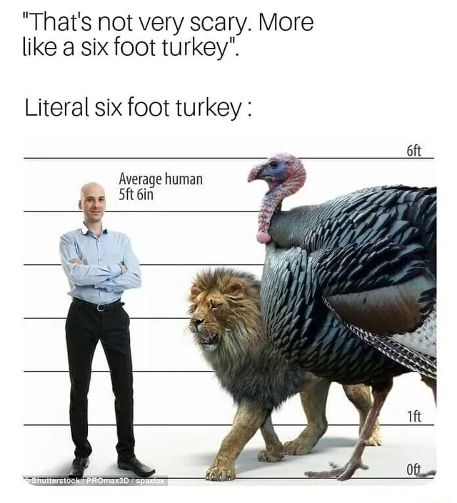 "That‘s not very scary. More like a six foot turkey". Literal six foot ...