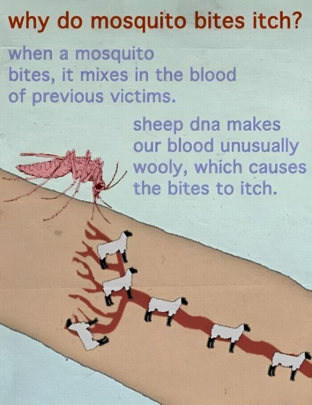 Why do mosquito bites itch? when a mosquito bites, it mixes in the ...