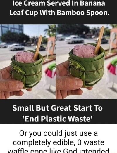 Ice Cream Served In Banana Leaf Cup With Bamboo Spoon. Small But Great ...