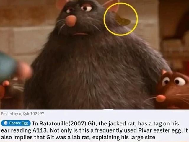 Posted by In Git, the jacked rat, has a tag on his ear reading A113 ...