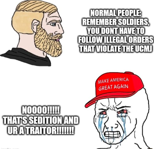 NORMAL PEOPLE: REMEMBER SOLDIERS, FOLLOW ILLEGAL ORDERS THAT VIOLATE ...