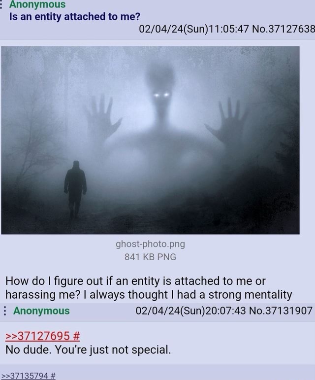 Anonymous Is an entity attached to me? No.37127638 ghost-photo.png 841 ...