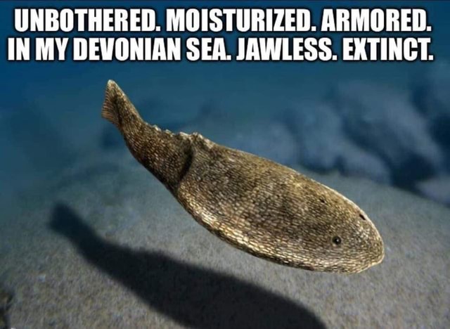 🐟 Happy Fossil Friday! Meme by @silvarette - UNBOTHERED. MOISTURIZED ...