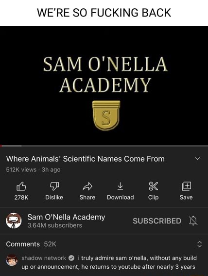 WE'RE SO FUCKING BACK SAM O'NELLA ACADEMY Where Animals' Scientific ...