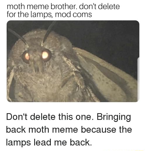 Moth meme brother. don't delete for the lamps, mod coms Don't delete ...