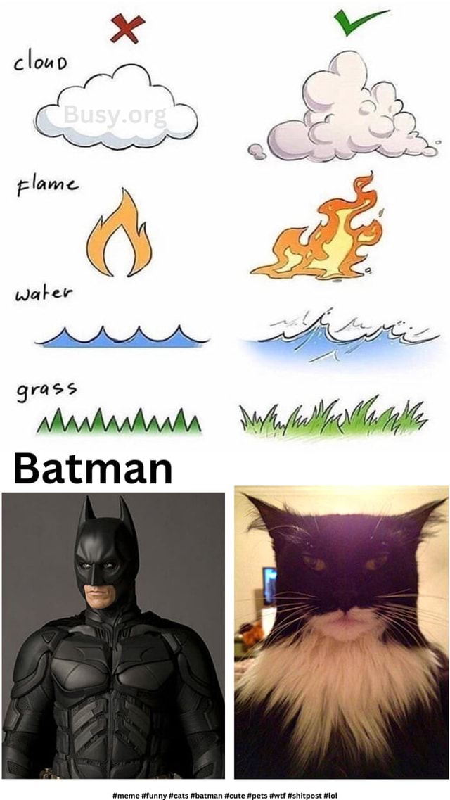 Barman #meme #funny #cats #batman #cute #pets #wtf #shitpost #tol ...