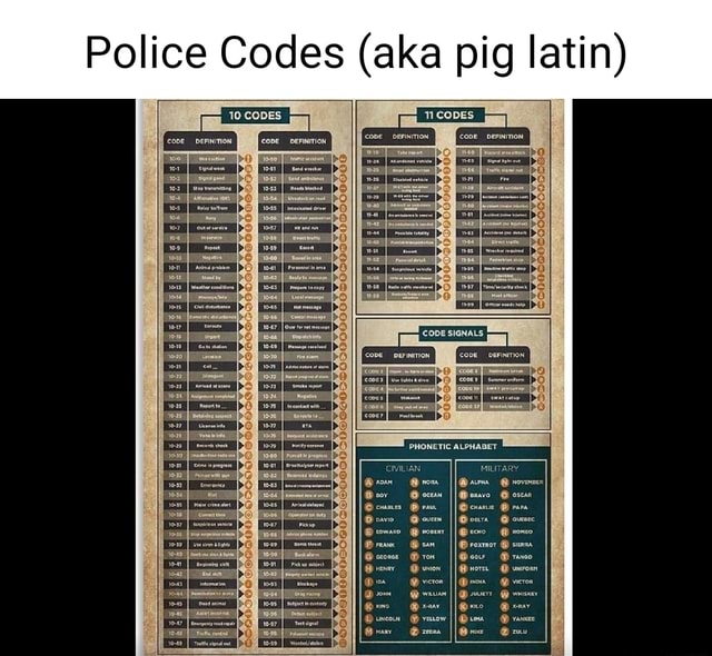 Police Codes (aka pig latin) 10 CODES cODE DEFINTION CODE DEFINITION ...