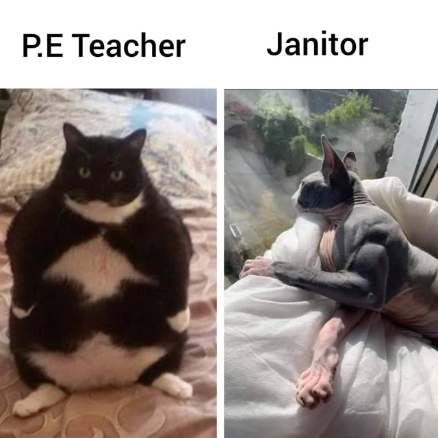 Janitor PE Teacher - iFunny