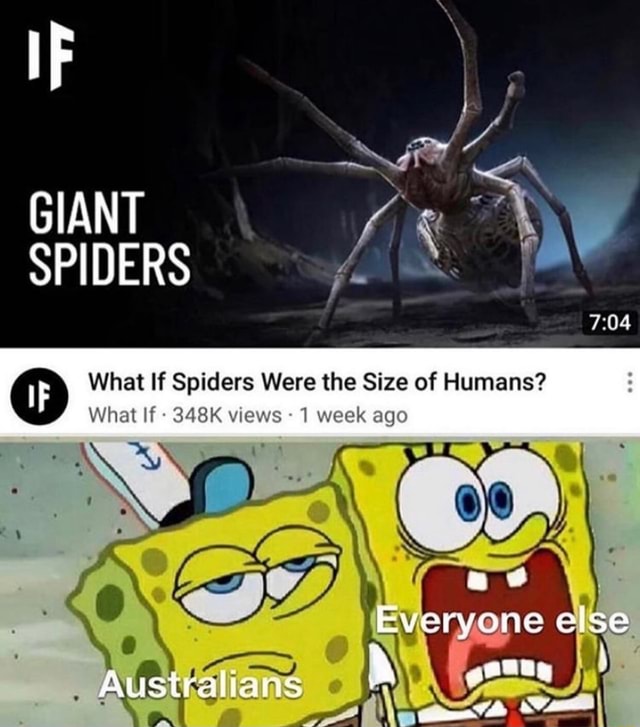 What If Spiders Were the Size of Humans? What If 348K views 1 - iFunny