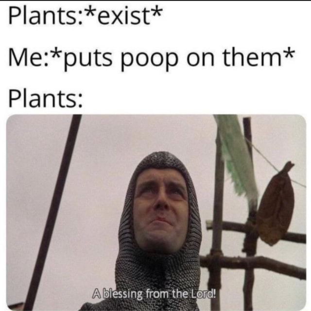 Poop on them* Plants: blessing fr from: the Lora! - iFunny