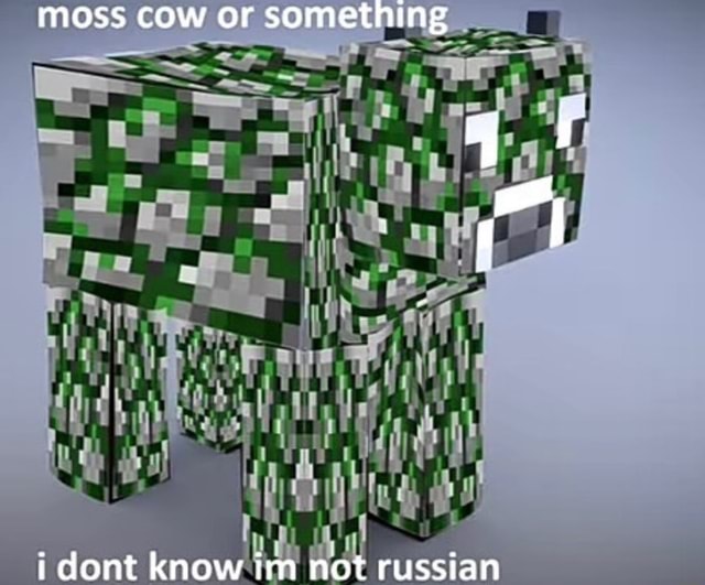 Moss cow or something dont know im not russian - iFunny
