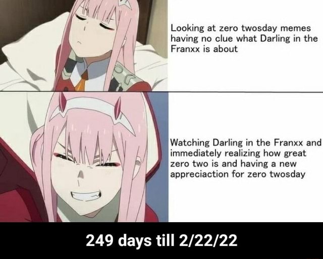 Looking at zero twosday memes having no clue what Darling in the Franxx ...