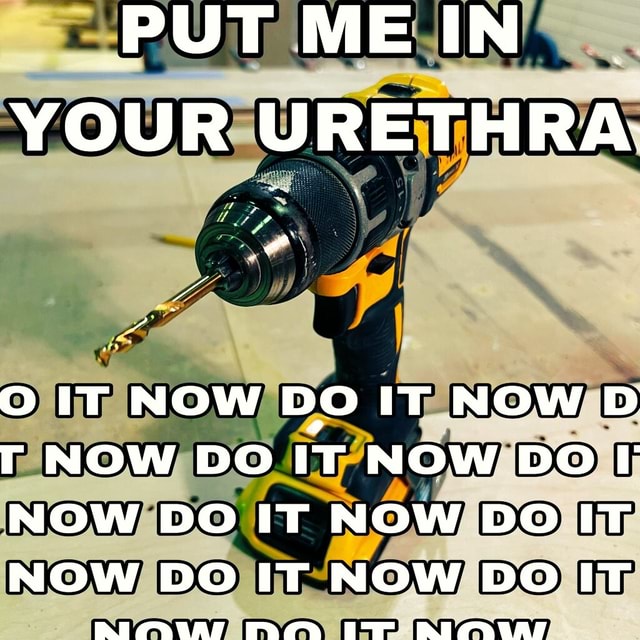 PUT MEIN I YOUR URETHRA O fr NOW DO IT NOW D r NOW DO IT NOW DOr NOW DO ...