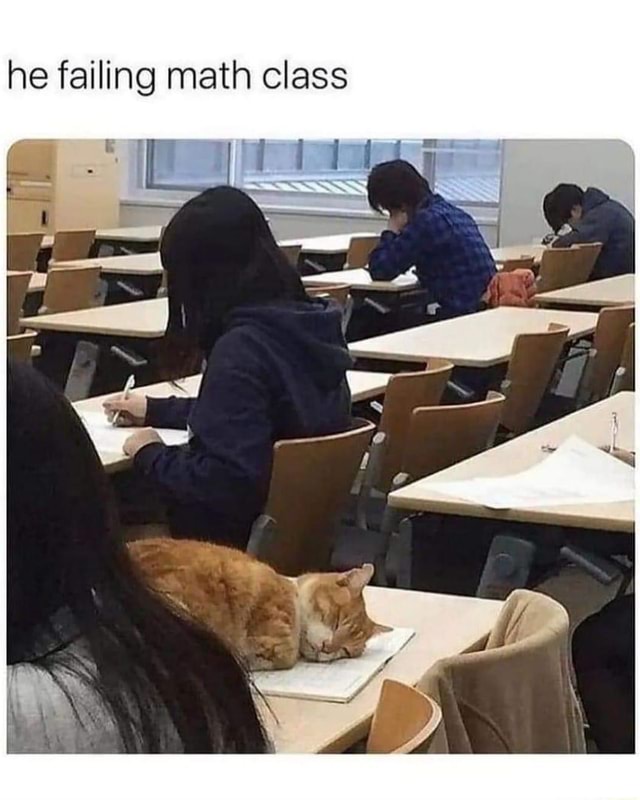 He failing math class - iFunny