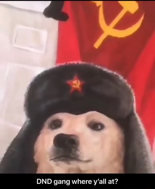 DND gang where y'all at? - DND gang where y’all at? - iFunny