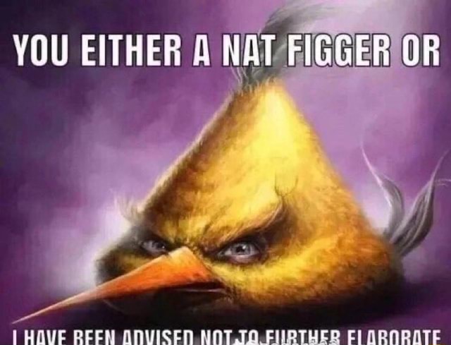 YOU EITHER A NAT FIGGER OR HAVE REEN ANVISEN NOT. FURTHER FLIARNRATE ...