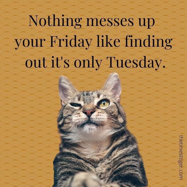 Nothing messes up your Friday like finding out it's only Tuesday. - iFunny