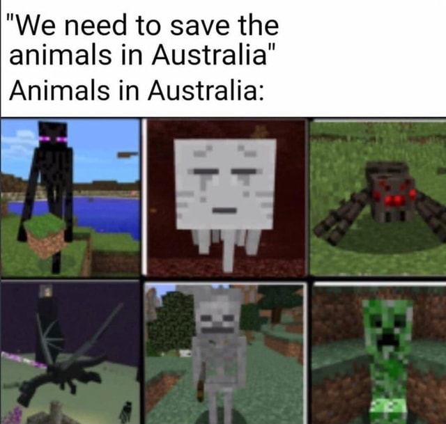 "We need to save the animals in Australia" Animals in Australia: - iFunny