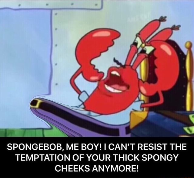 SPONGEBOB, ME BOY! I CAN'T RESIST THE TEMPTATION OF YOUR THICK SPONGY ...