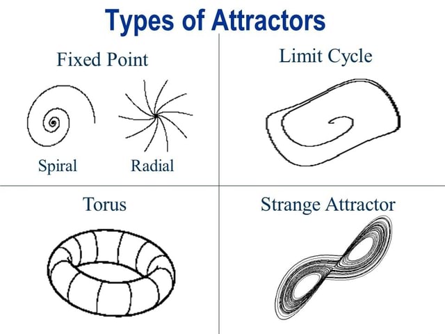 Types of Attractors Fixed Point Limit Cycle Spiral Radial Torus Strange ...