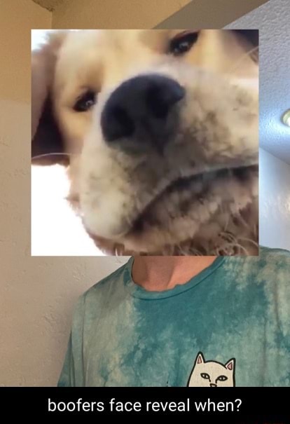 Boofers face reveal when? - iFunny