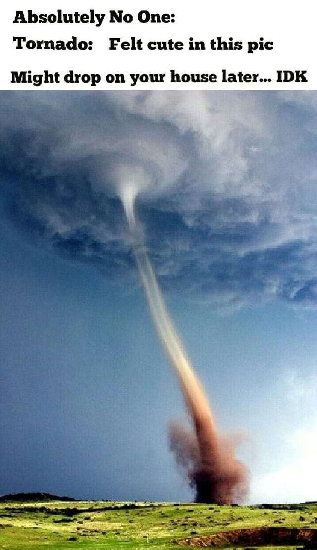 Absolutely No One: Tornado: Felt cute in this pic Might drop on your ...