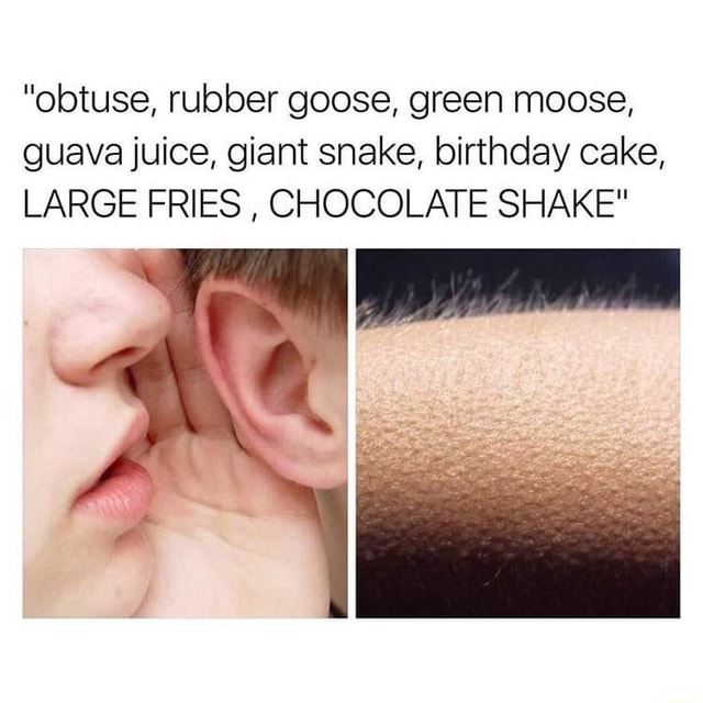 "obtuse, rubber goose, green moose, guava juice, giant snake, birthday ...