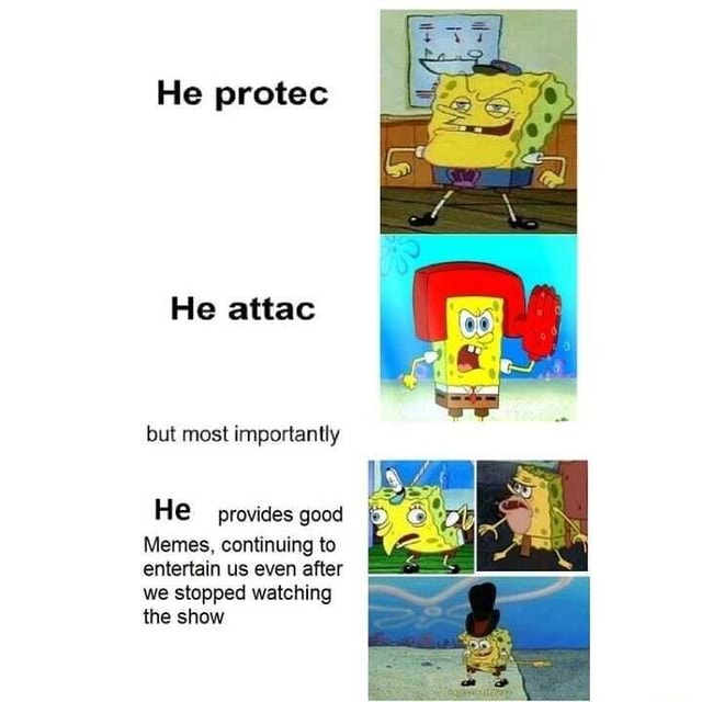 He protec He attac but most importantly He provides good Memes ...