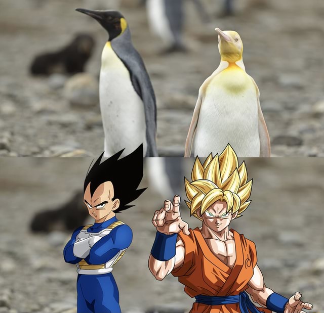 Super Saiyan Penguin - )