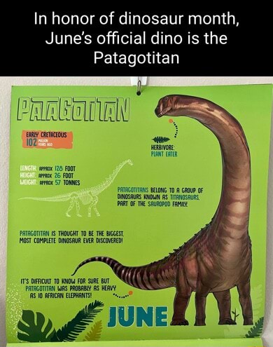 In honor of dinosaur month, June's official dino is the Patagotitan ...