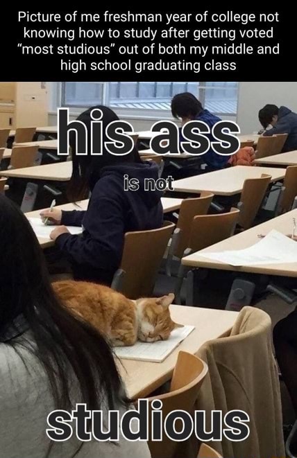 Picture of me freshman year of college not knowing how to study after ...