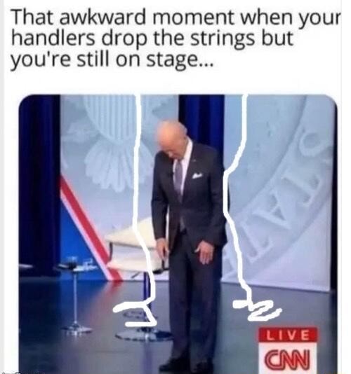 That awkward moment when your handlers drop the strings but you're ...