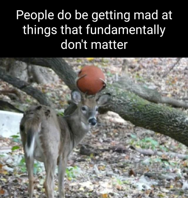People do be getting mad at things that fundamentally don't matter I ...