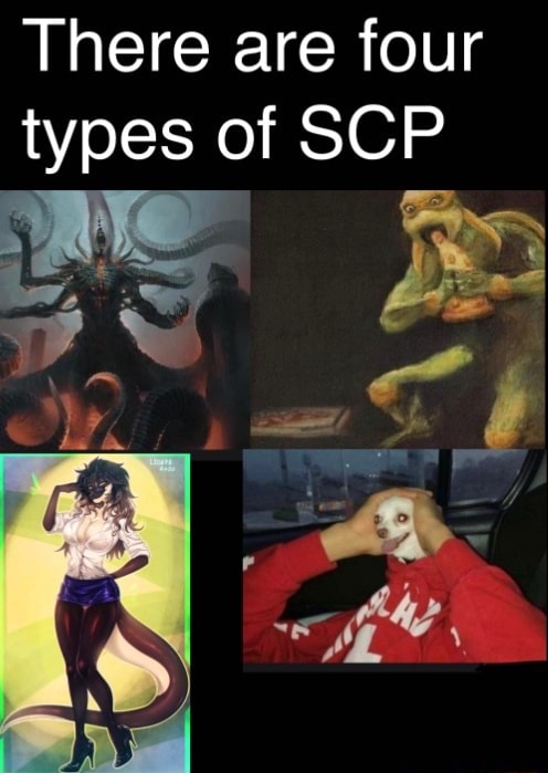 There are four types of SCP - iFunny