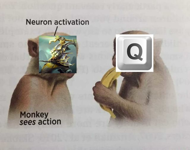 Neuron activation "sees action - iFunny