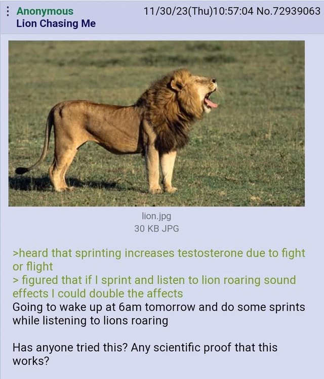 : Anonymous No.72939063 Lion Chasing Me lion.jpg 30 KB JPG >heard that ...