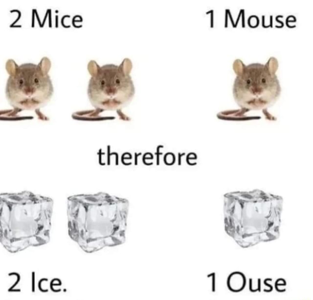 2 Mice 1 Mouse ee Ss therefore er 2 Ice. 1 Ouse - iFunny