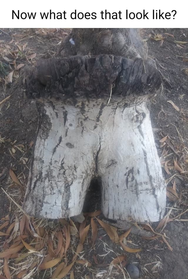 Now what does that look like? - America’s best pics and videos