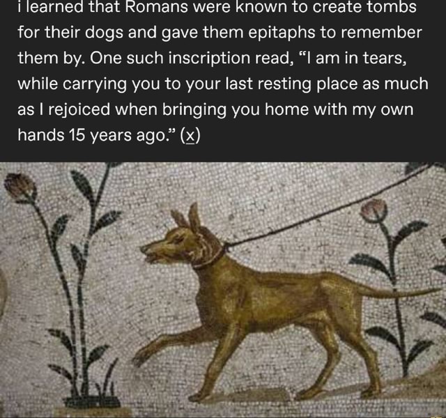 Ned that Romans were known to create tombs for their dogs and gave them ...