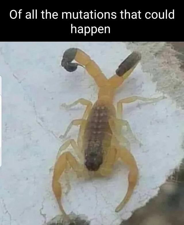 Of all the mutations that could happen - iFunny