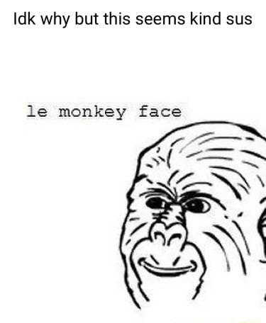 Idk why but this seems kind sus le monkey face - iFunny