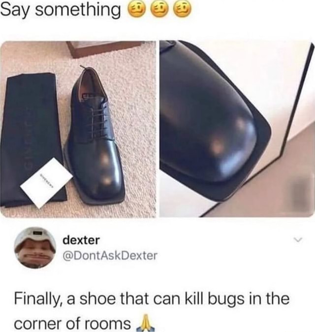 Say something dexter Finally, shoe that can kill bugs in the corner of ...